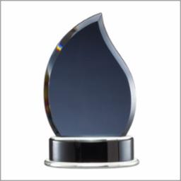 Smoked Glass Tear Drop Award 9" – Trophy Shop Mobile